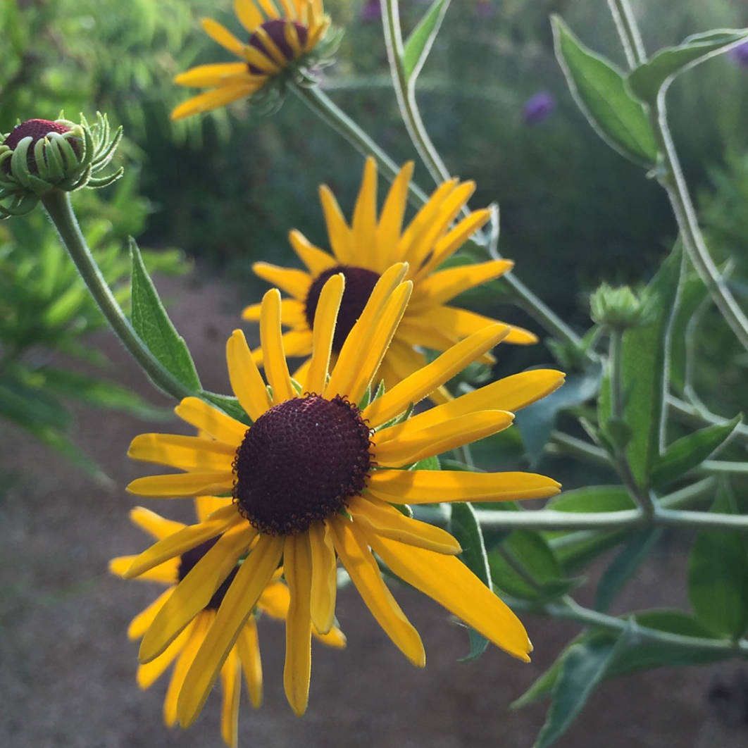 8 Ways To Capture Wonderful Serenity In Your iPhone Photos