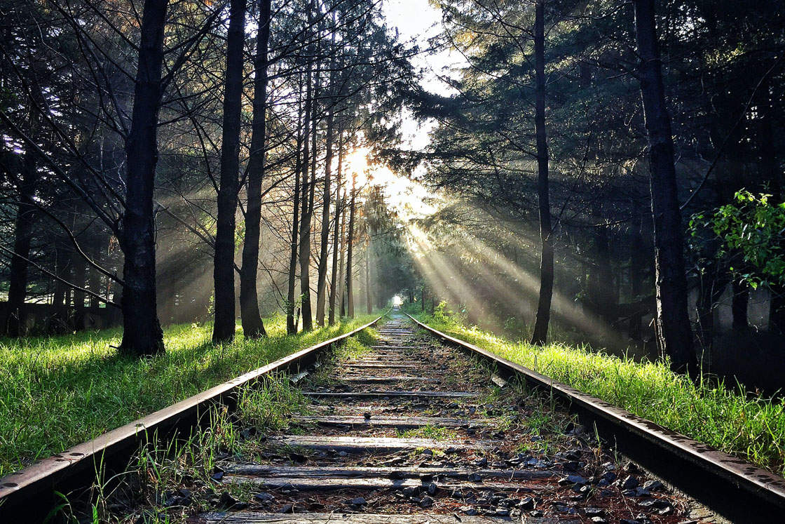 30 Brilliant iPhone Photos of the Golden Hour