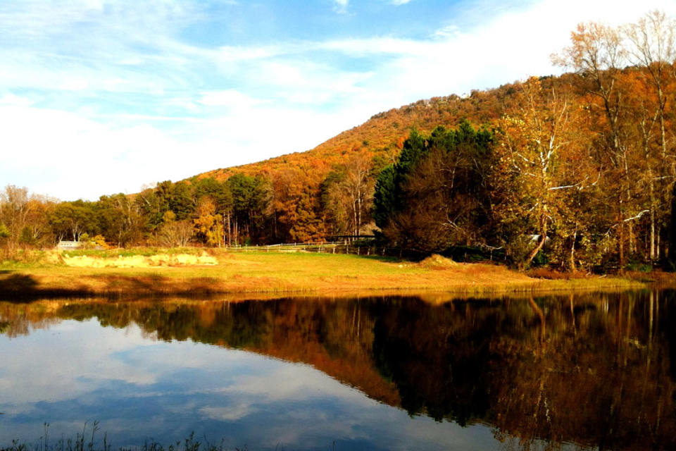 8 Ways To Capture Wonderful Serenity In Your iPhone Photos