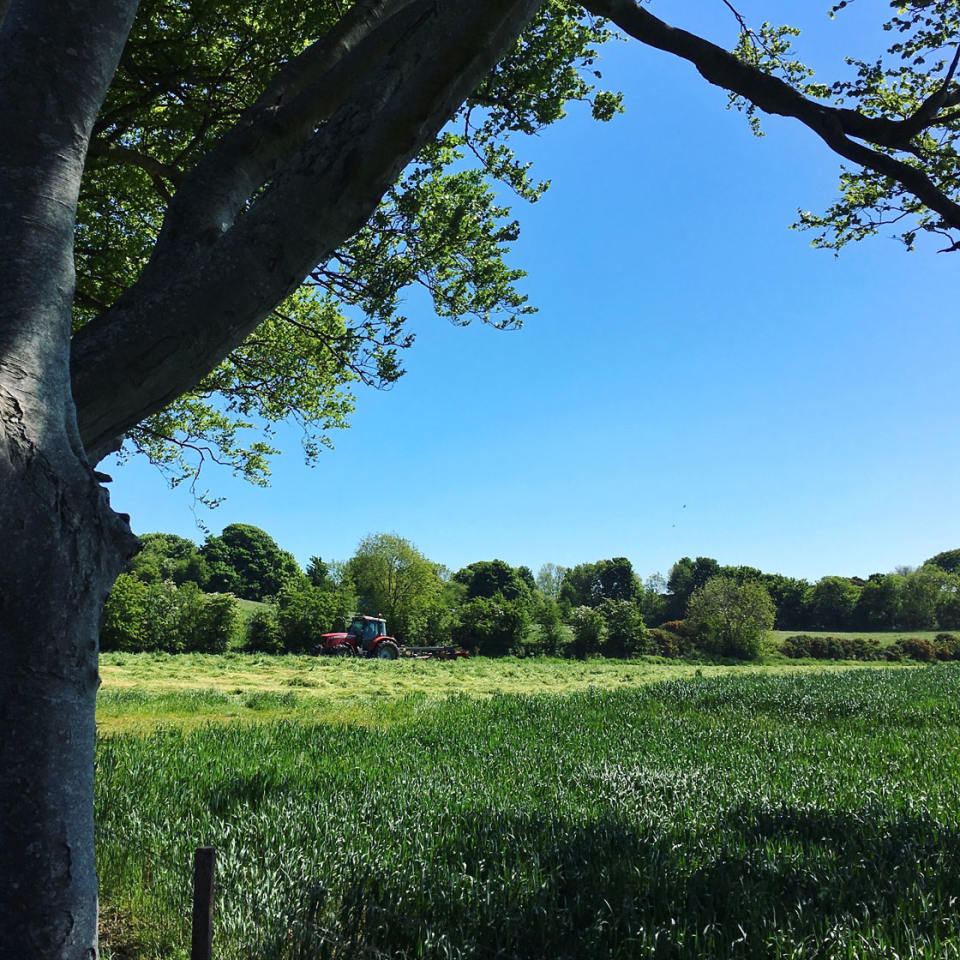 7 Tips For Using Framing Composition Techniques In Your iPhone Photos