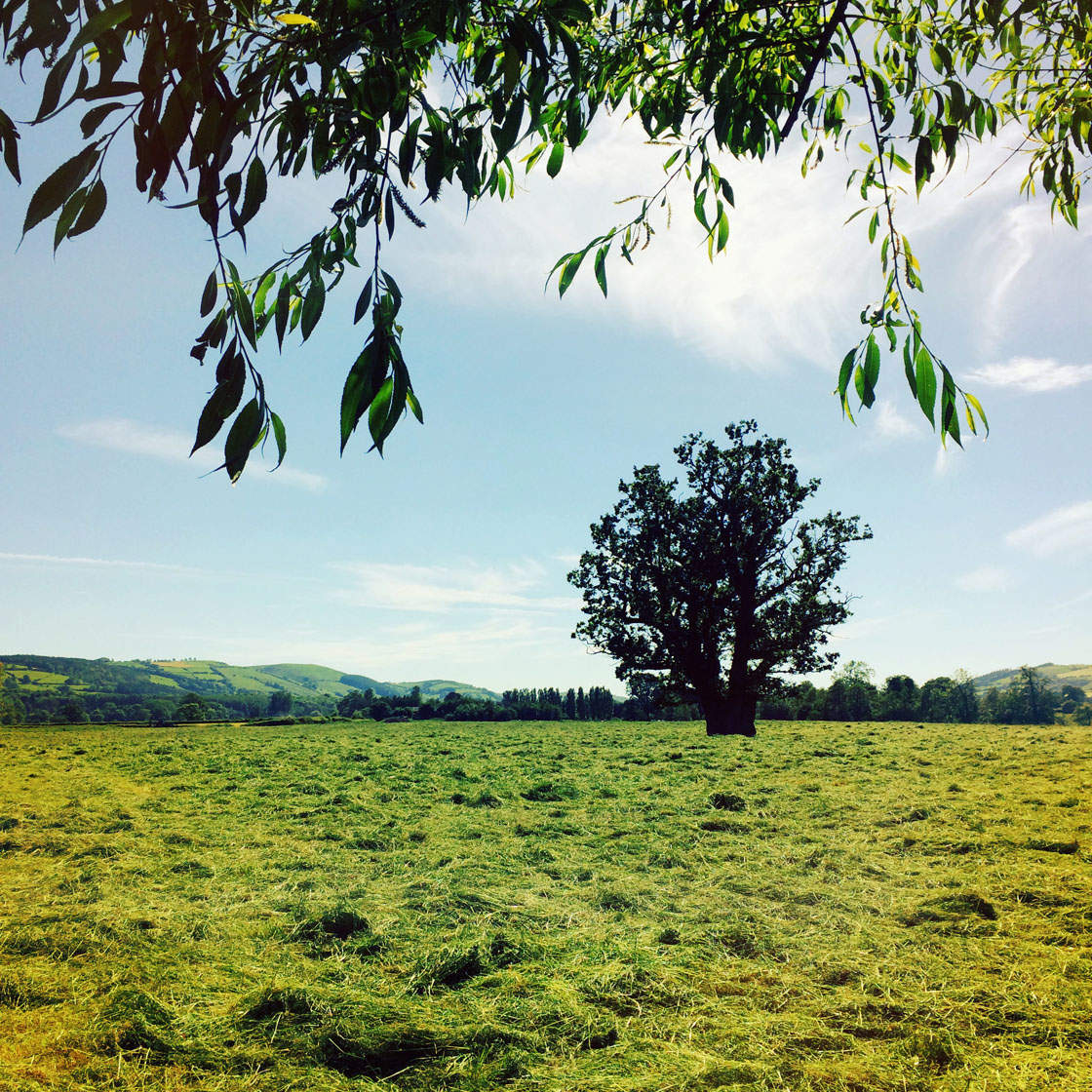 7 Tips For Using Framing Composition Techniques In Your iPhone Photos