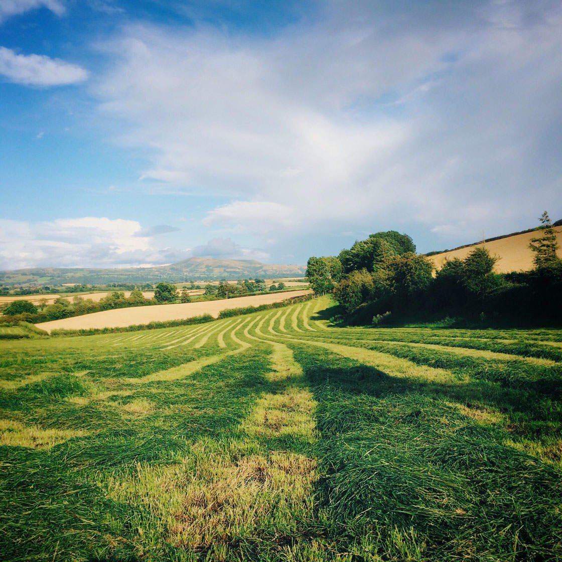 How To Use The Vignette Tool To Create Dramatic iPhone Photos