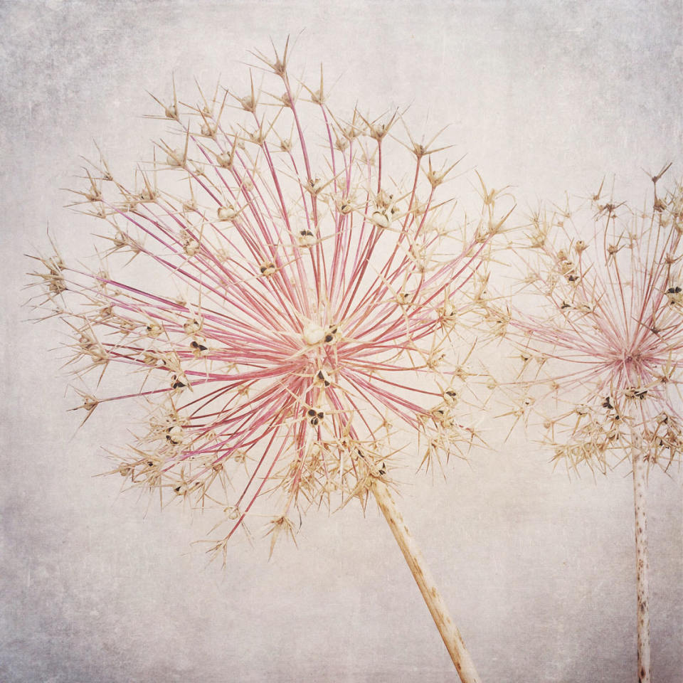 How To Use The Vignette Tool To Create Dramatic iPhone Photos