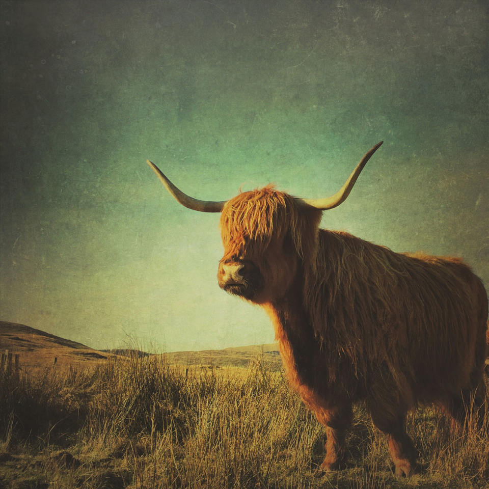 9 Ways To Improve Your Rural Landscape iPhone Photography