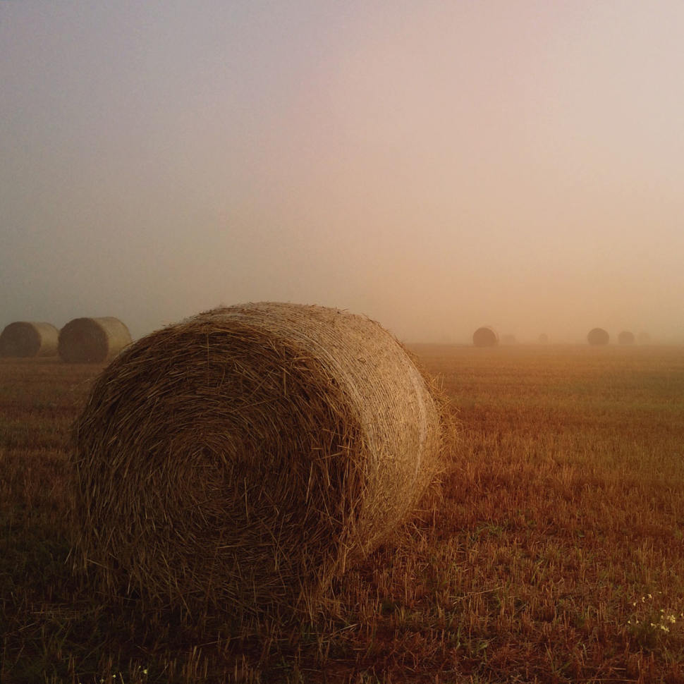 9 Ways To Improve Your Rural Landscape iPhone Photography