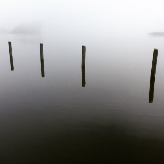 The 100 Best iPhone Photos Of 2016