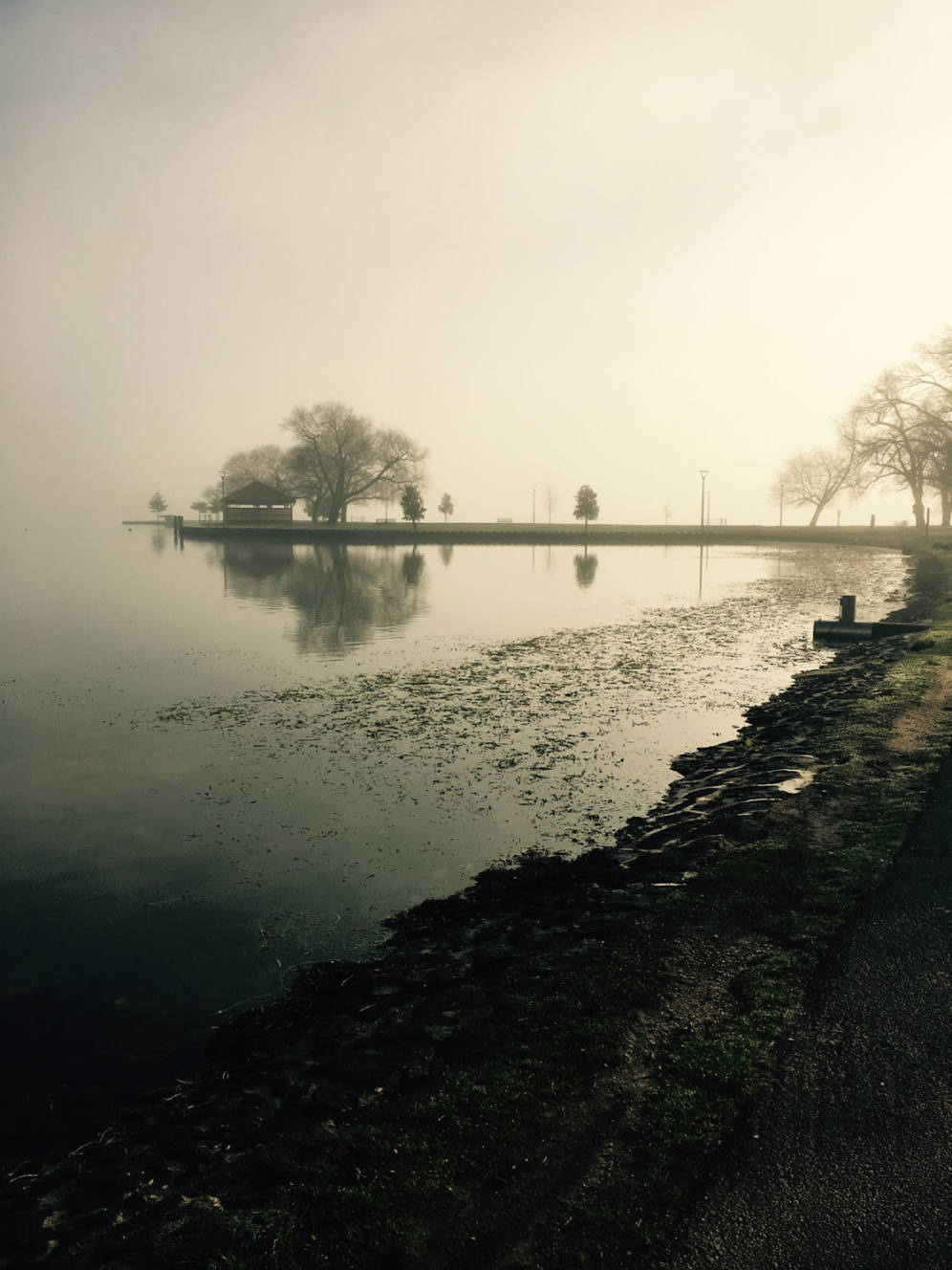 The 100 Best iPhone Photos Of 2016