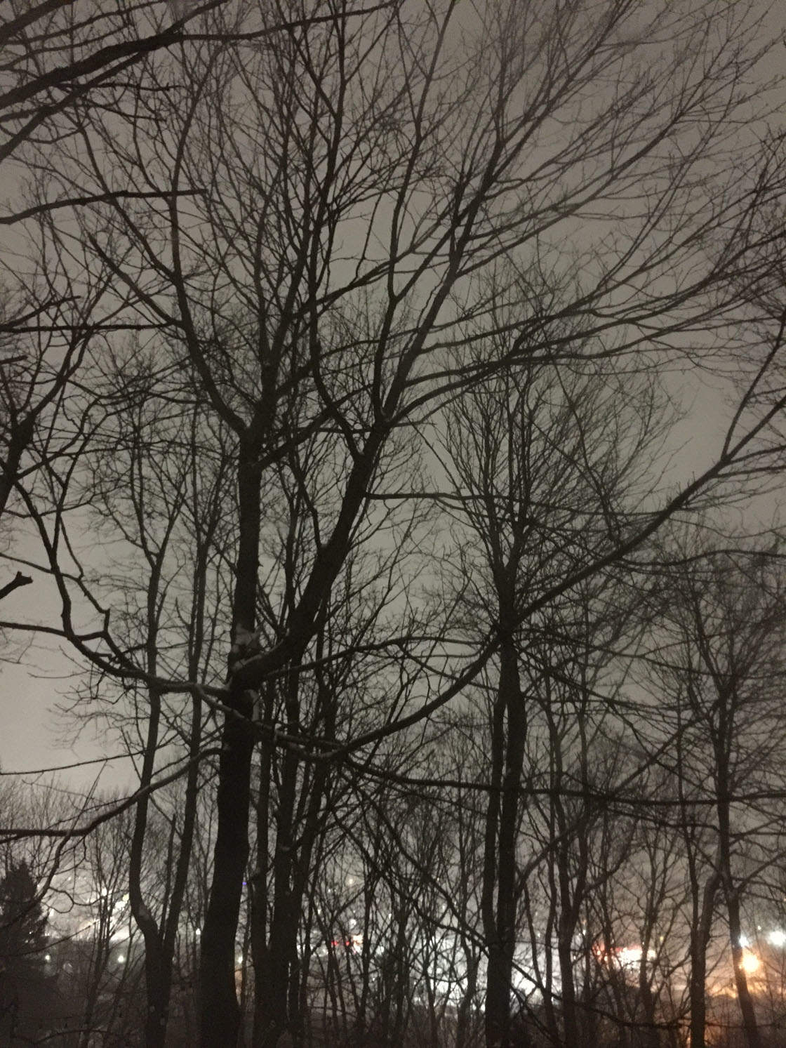 How To Use Slow Shutter Cam To Create Long Exposure iPhone Photos