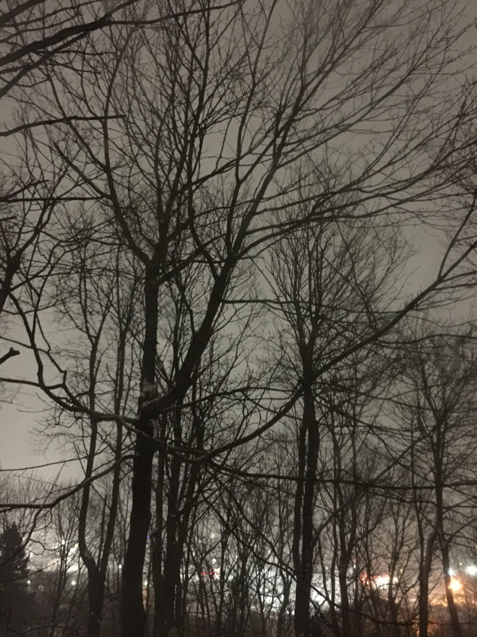 How To Use Slow Shutter Cam To Create Long Exposure iPhone Photos