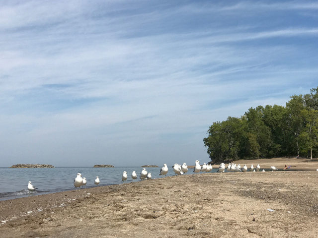 7 Perspective Photography Tips For Unique iPhone Photos