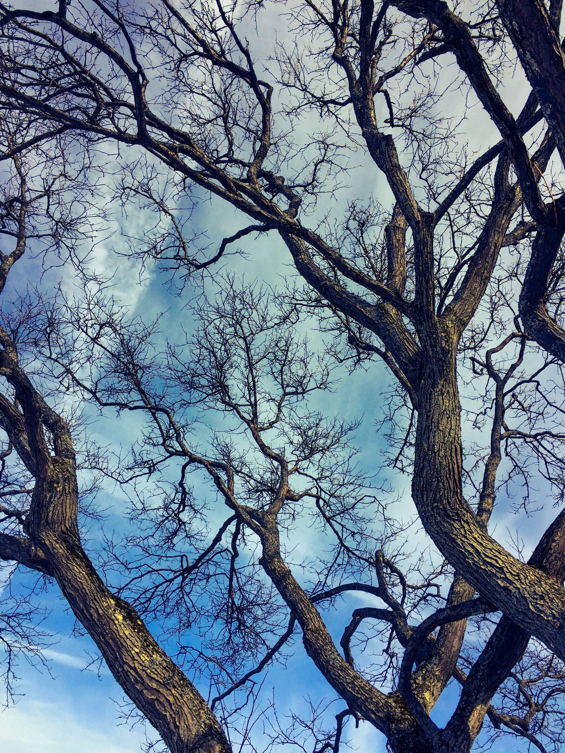 7 Perspective Photography Tips For Unique iPhone Photos