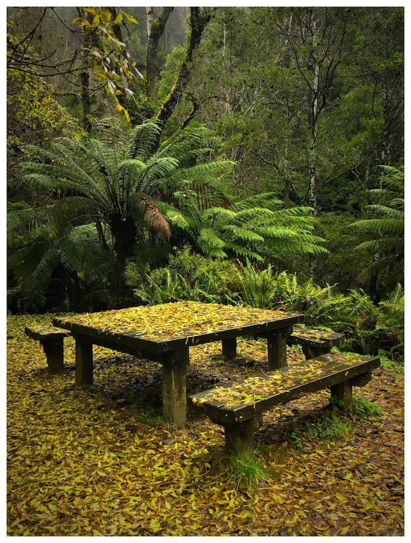 The 100 Best iPhone Photos Of 2017