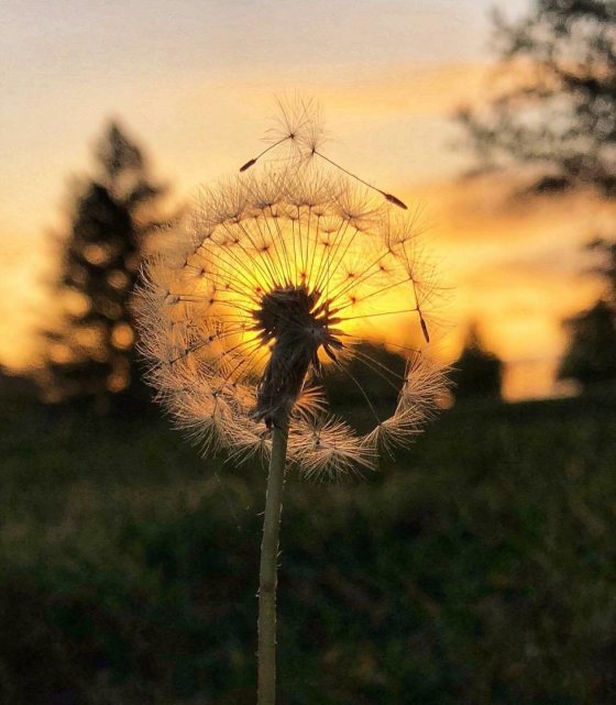 The 100 Best iPhone Photos Of 2017