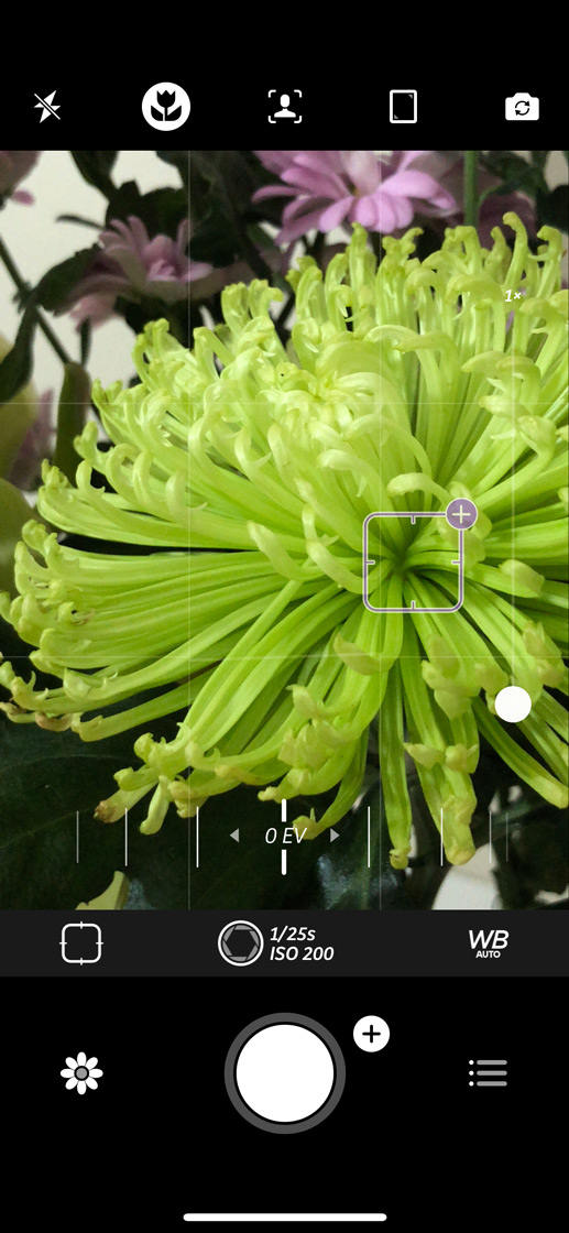 How To Use Camera+ App To Shoot & Edit Amazing iPhone Photos