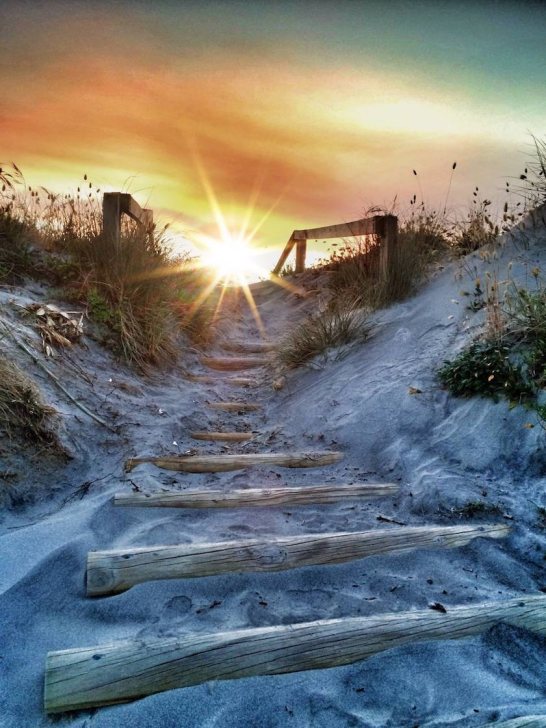 The 100 Best iPhone Photos Of 2017