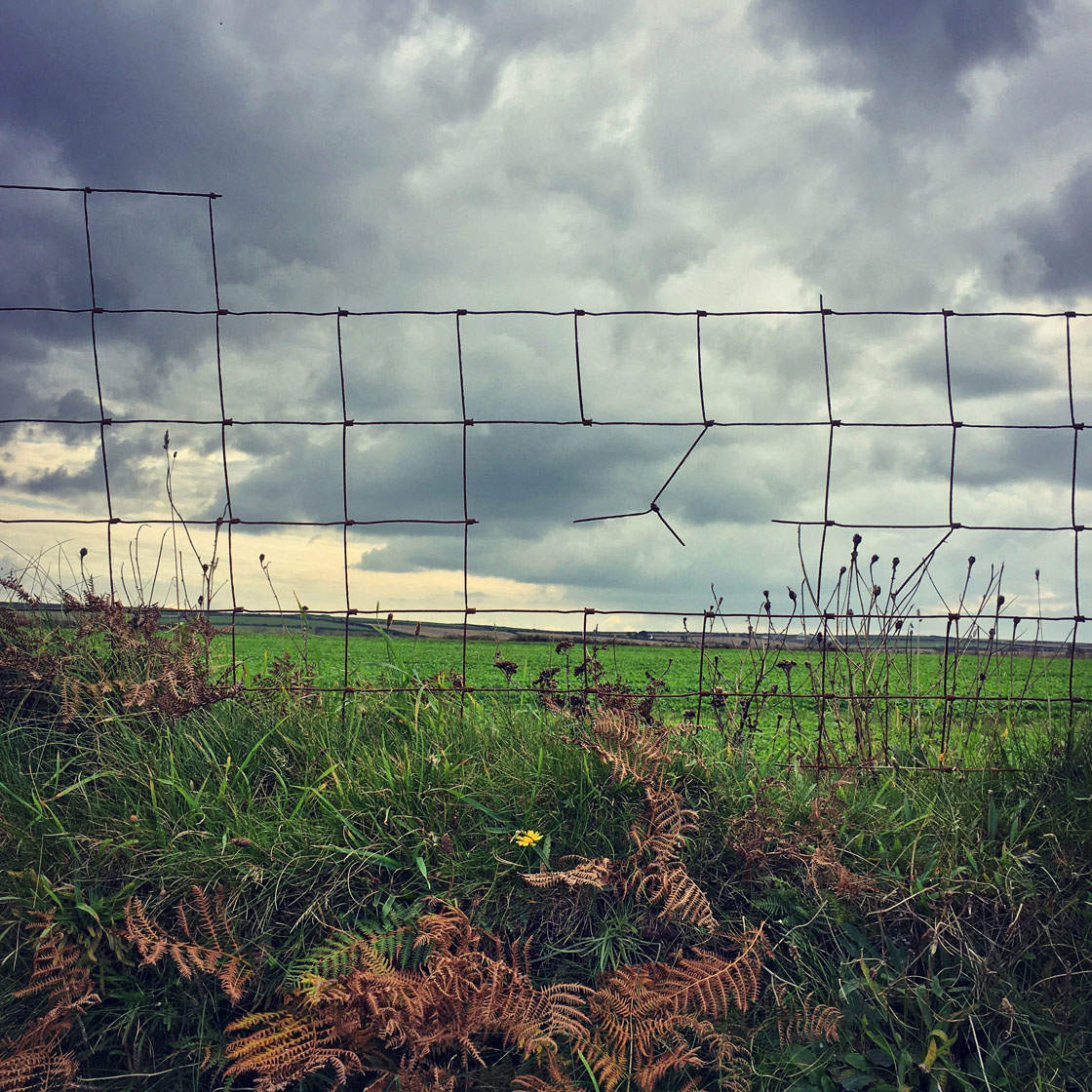 How To Use The HDR iPhone Feature To Shoot Perfectly Exposed Photos