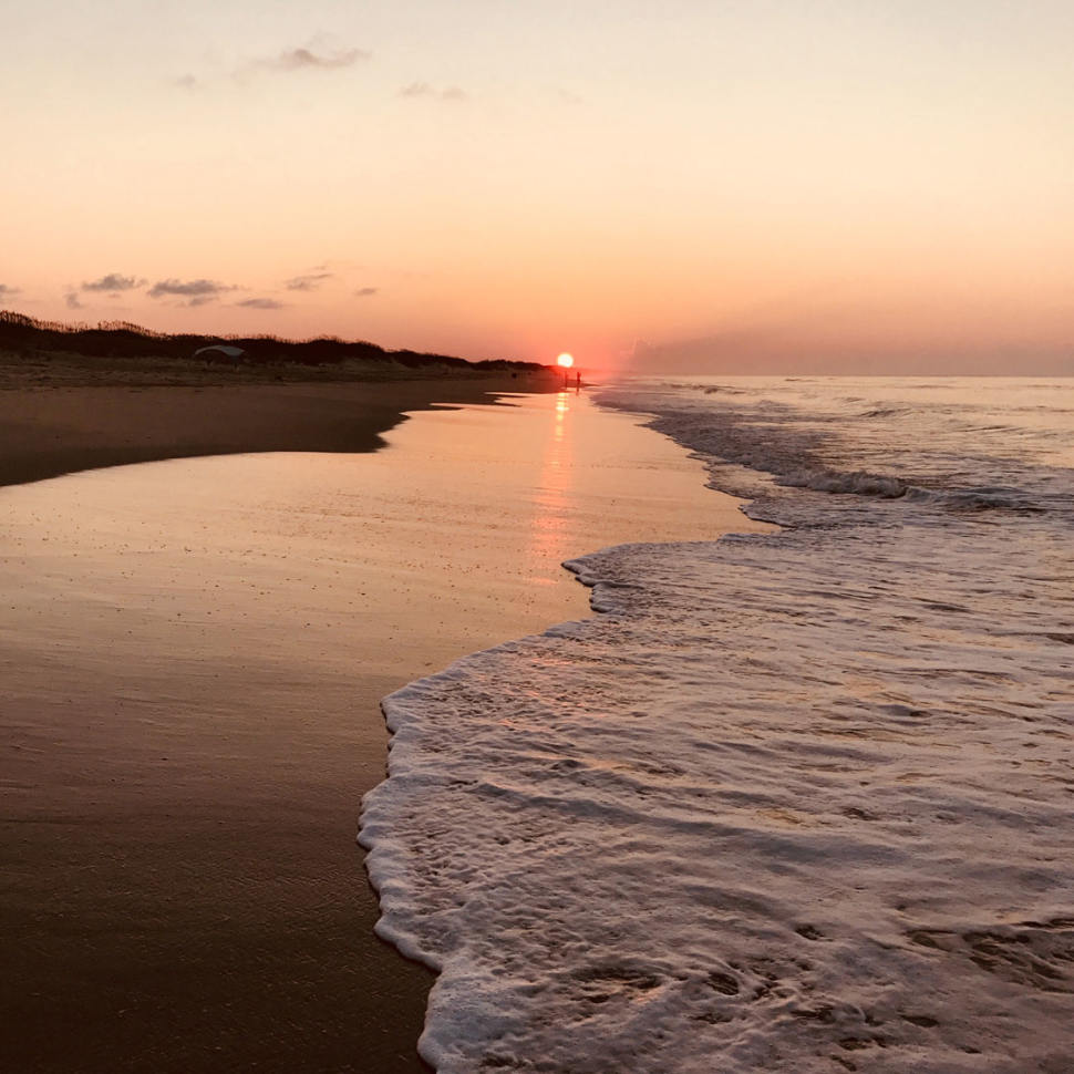 How To Use Your iPhone 8 Camera To Shoot Stunning Photos