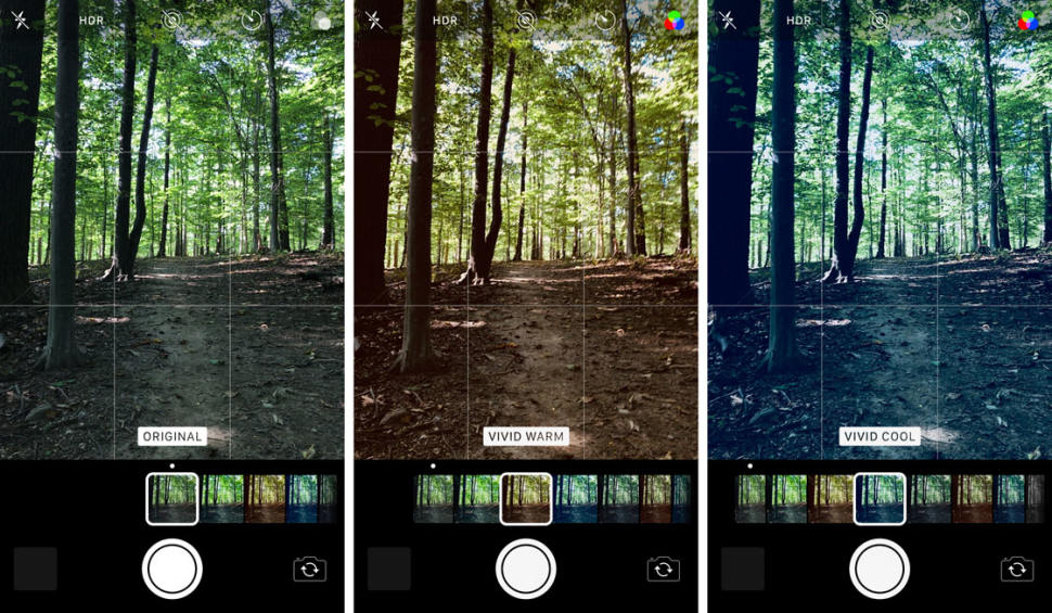 How To Use Your iPhone 8 Camera To Shoot Stunning Photos