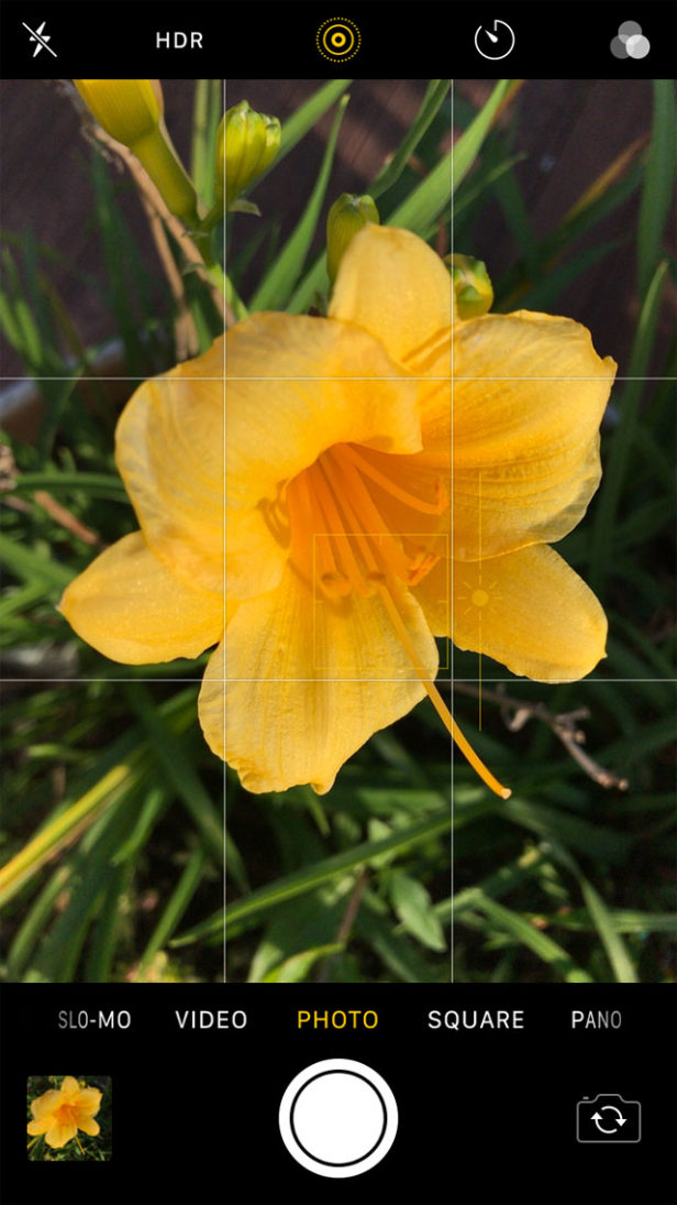 How To Use Your iPhone 8 Camera To Shoot Stunning Photos