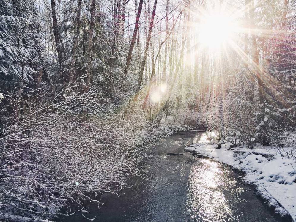 9 Tips For Astonishing Winter Photography On Your iPhone