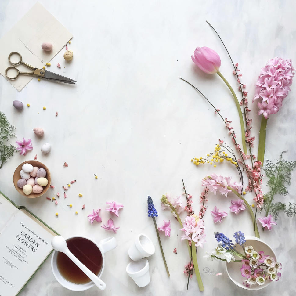 8 Tips For Beautiful Still Life Photography On iPhone