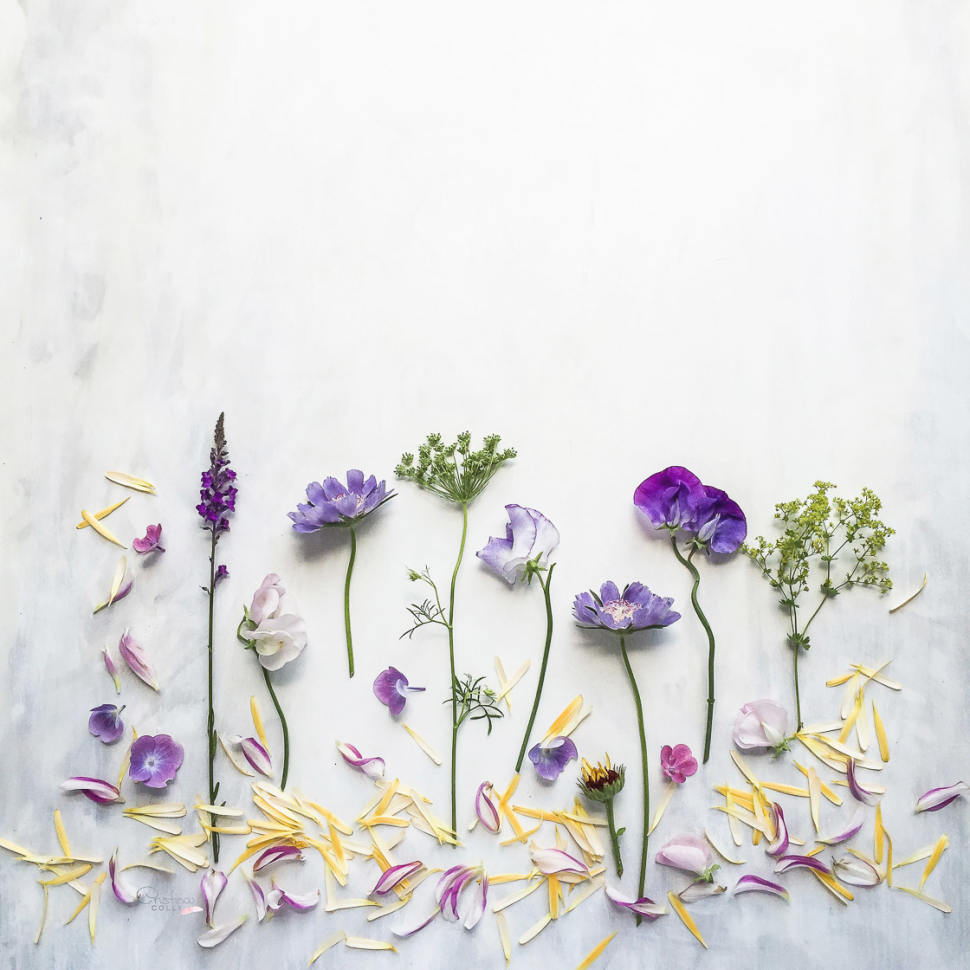 8 Tips For Beautiful Still Life Photography On iPhone