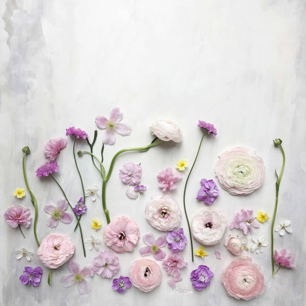 8 Tips For Beautiful Still Life Photography On iPhone