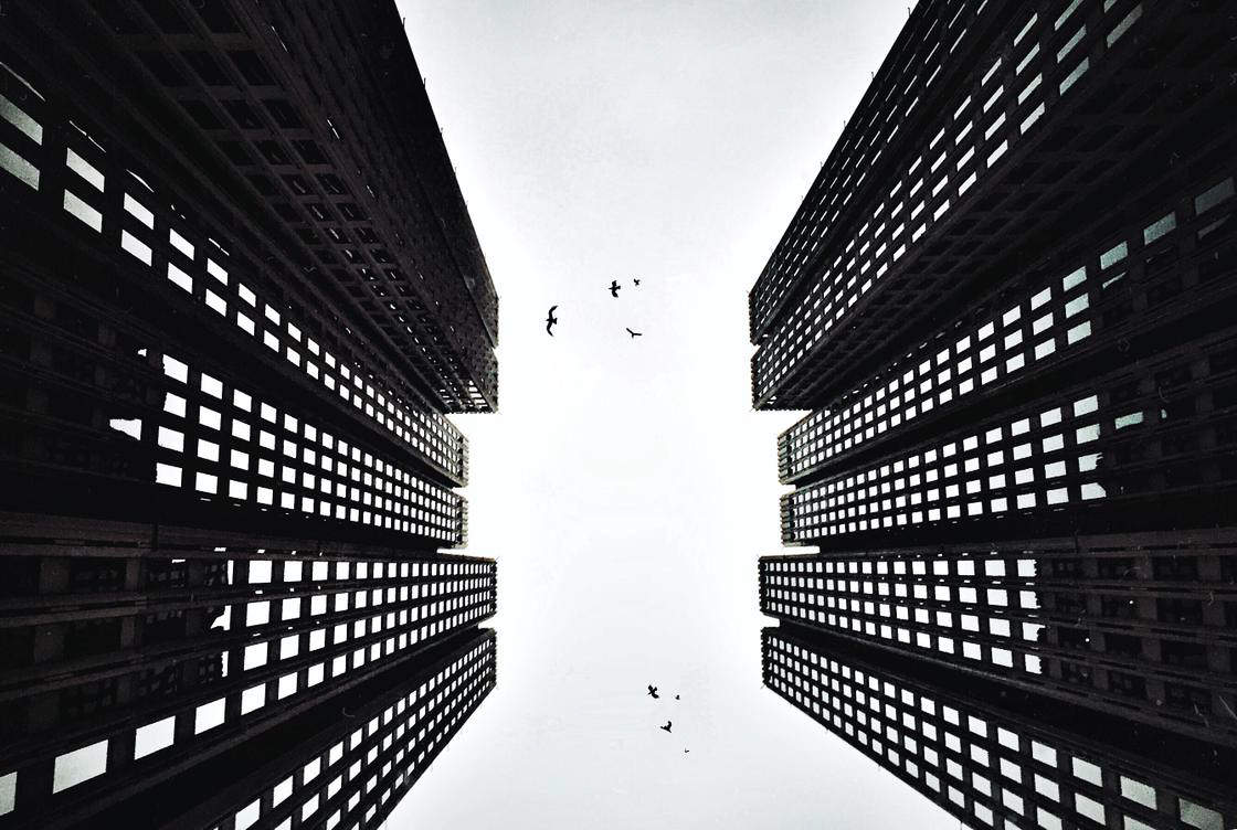 The 100 Best iPhone Photos Of 2018