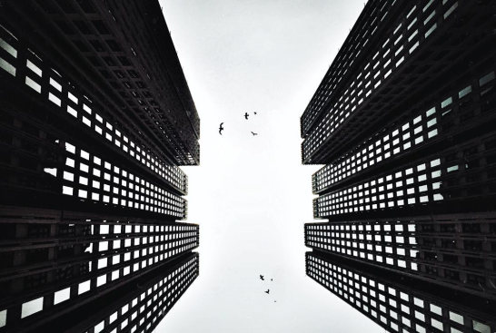 The 100 Best iPhone Photos Of 2018