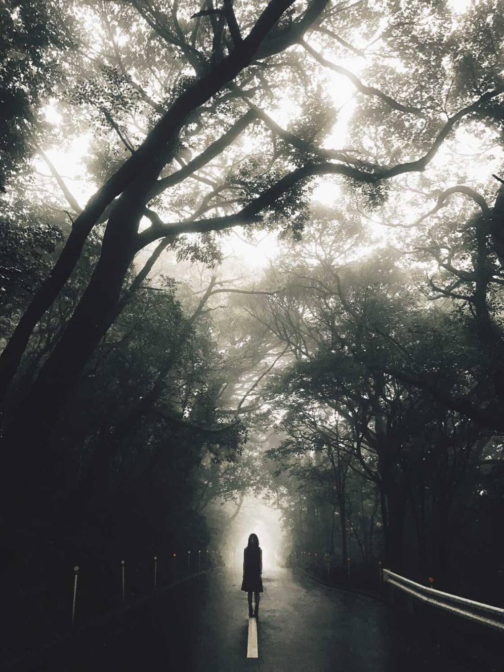 7 Tips For Wonderful Forest Photography On iPhone