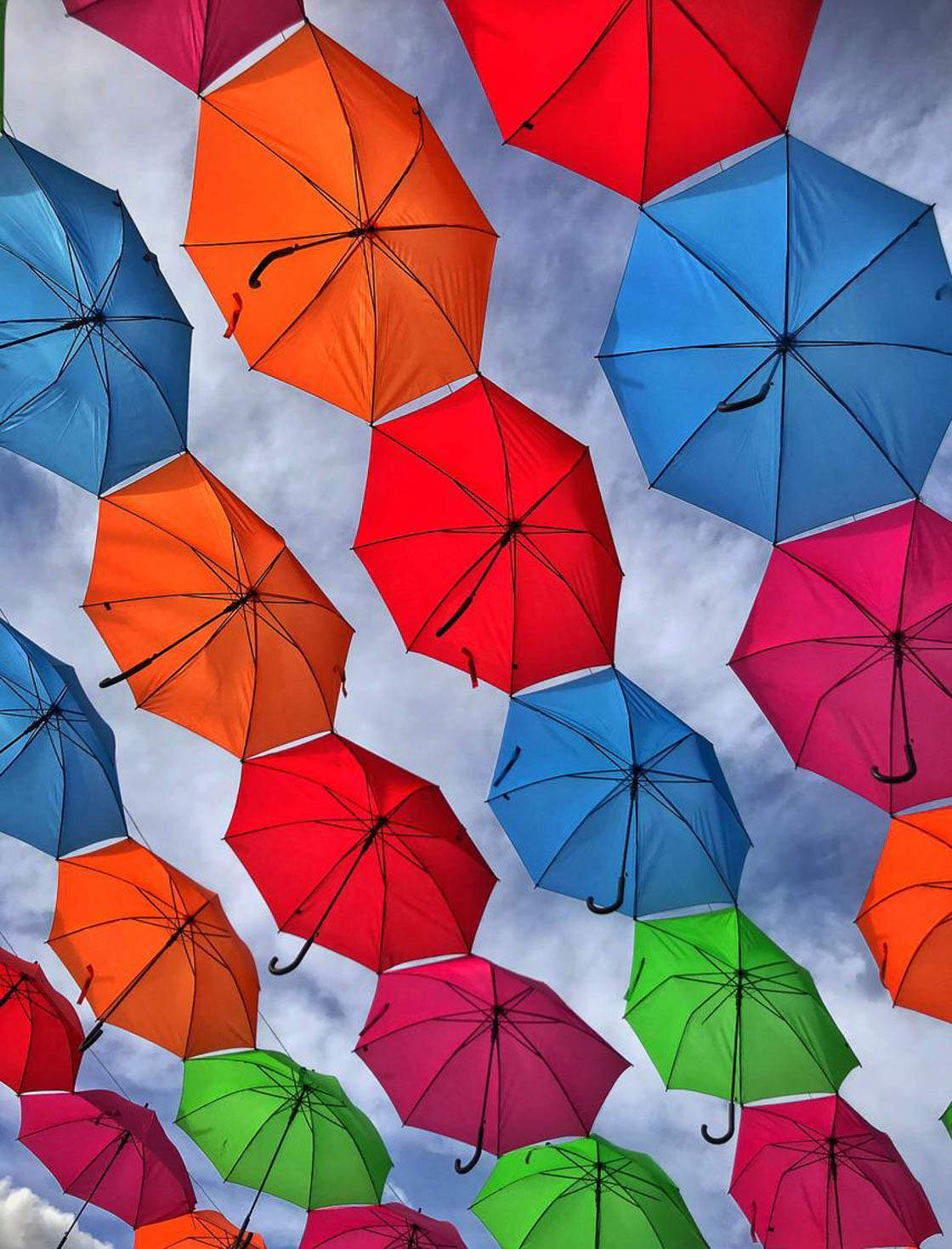 The 100 Best iPhone Photos Of 2018
