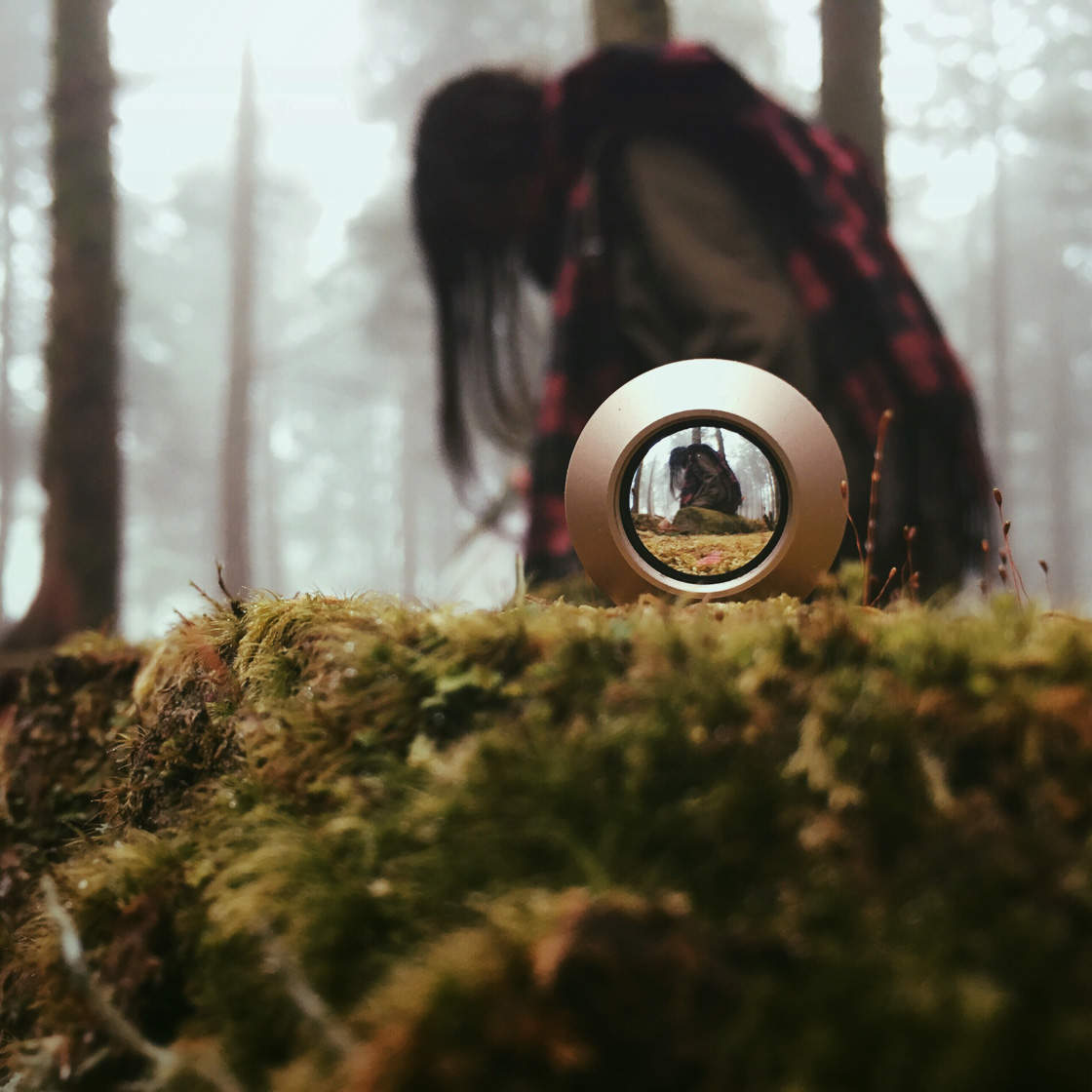 7 Tips For Wonderful Forest Photography On iPhone