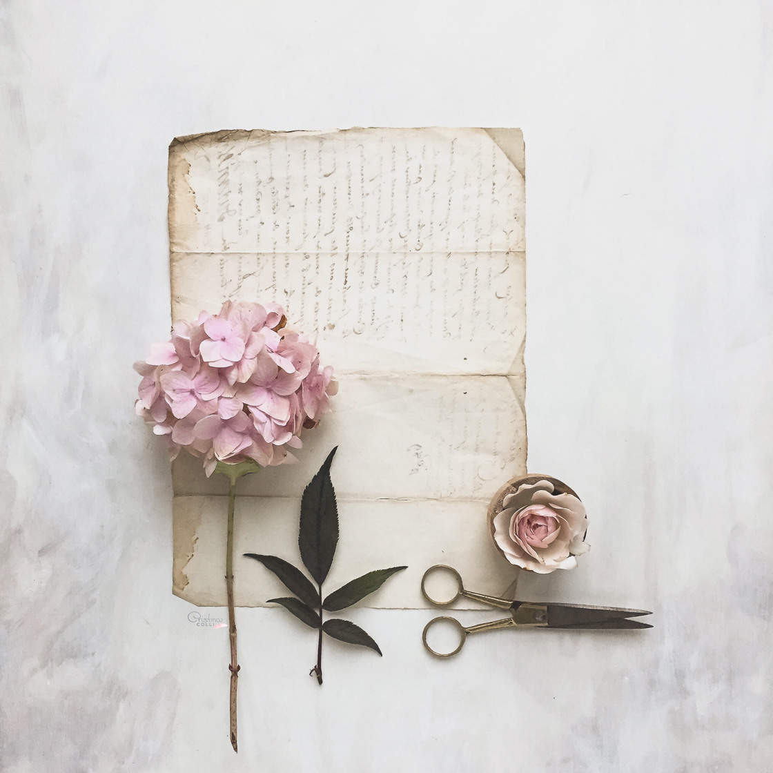 8 Tips For Beautiful Still Life Photography On iPhone