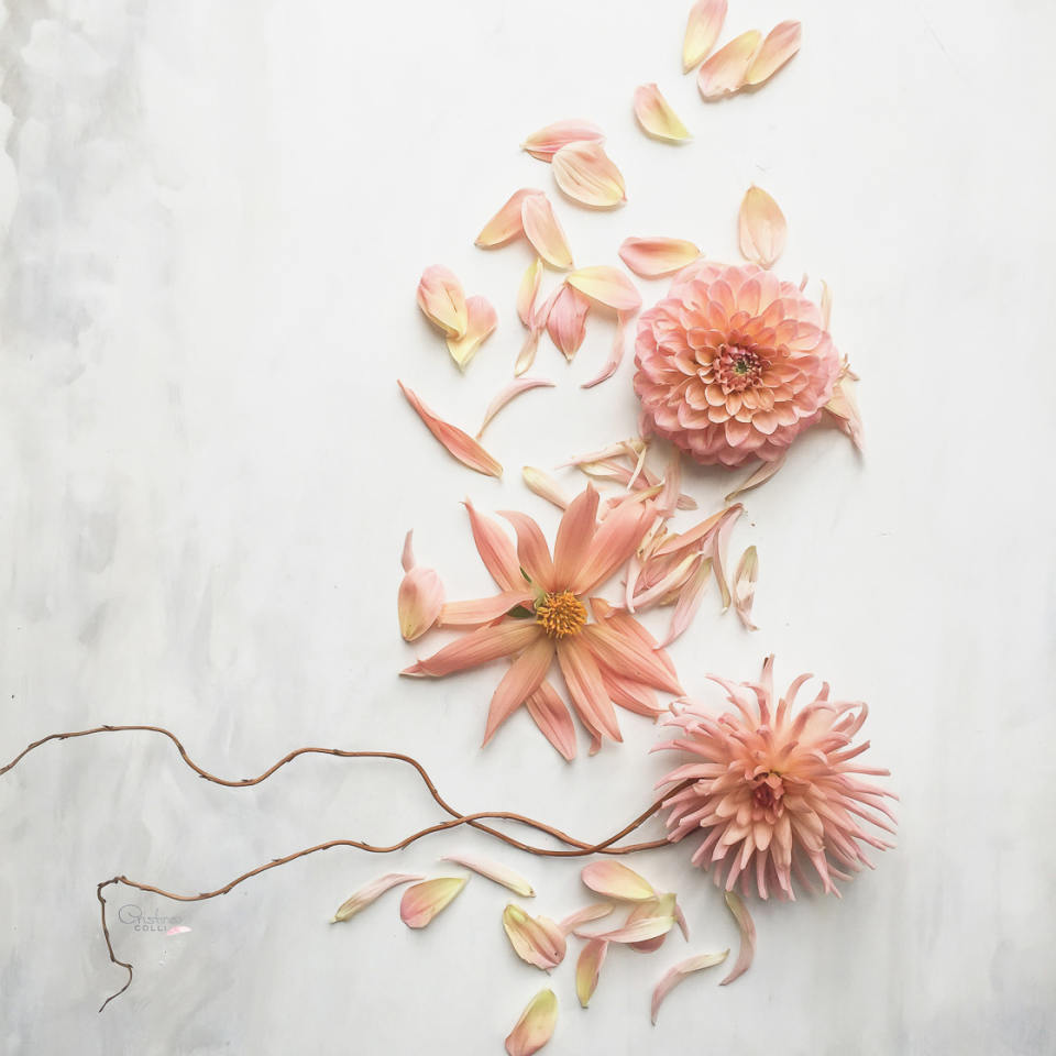 8 Tips For Beautiful Still Life Photography On iPhone