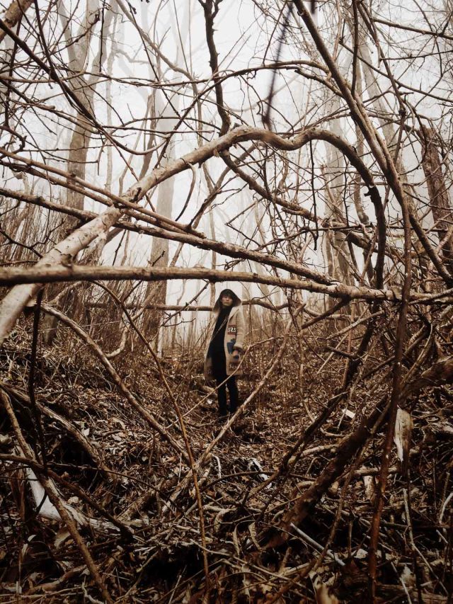 7 Tips For Wonderful Forest Photography On iPhone