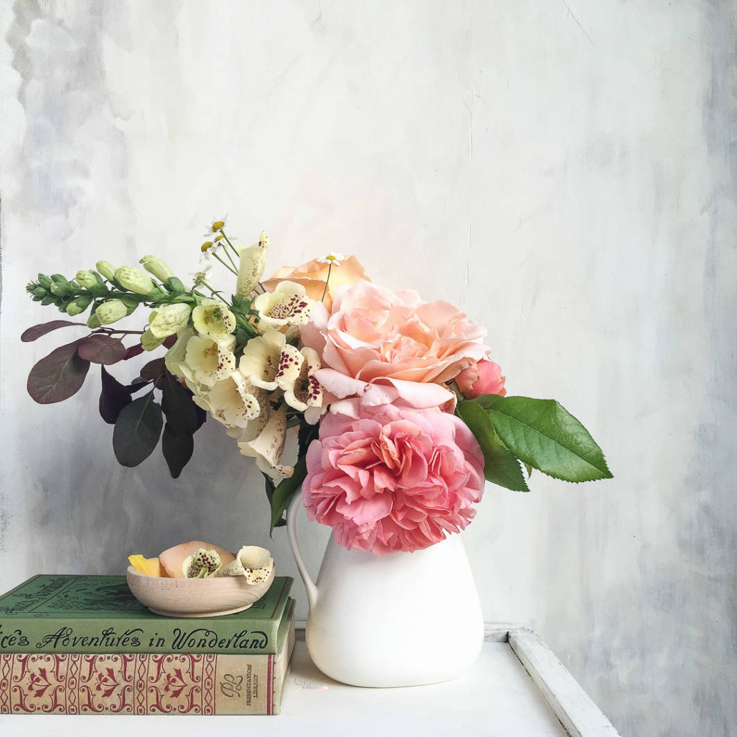 8 Tips For Beautiful Still Life Photography On iPhone