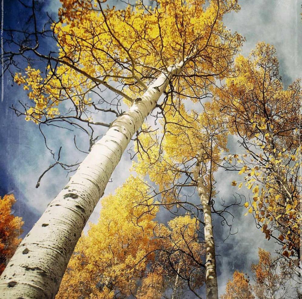 7 Tips For Dramatic Landscape Photography On iPhone