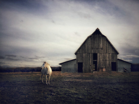 8 Tips For Incredible Rural Landscape Photography On iPhone