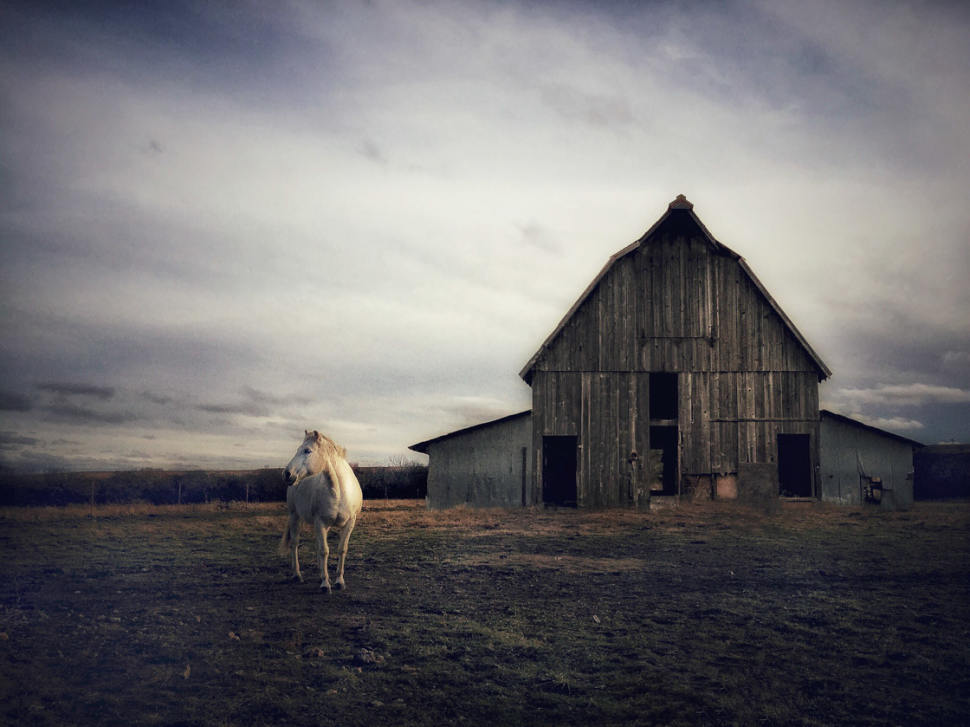 8 Tips For Incredible Rural Landscape Photography On iPhone