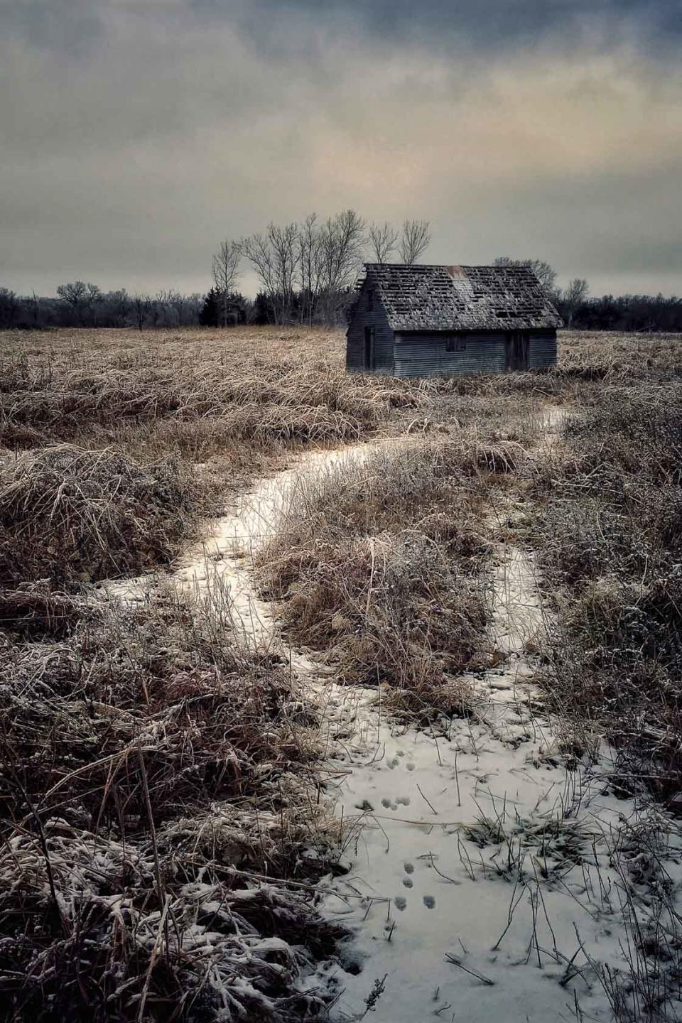 8 Tips For Incredible Rural Landscape Photography On iPhone