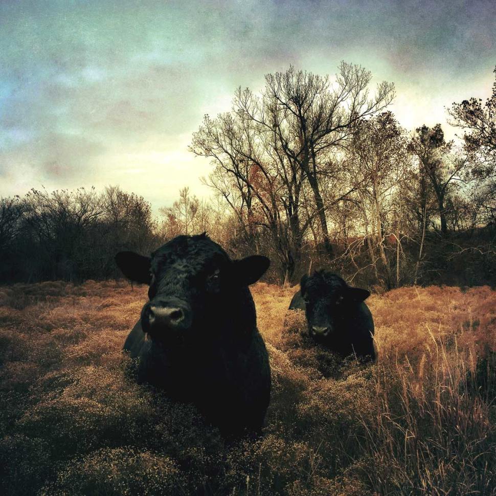 8 Tips For Incredible Rural Landscape Photography On iPhone