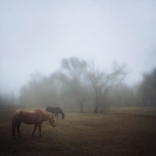 8 Tips For Incredible Rural Landscape Photography On iPhone