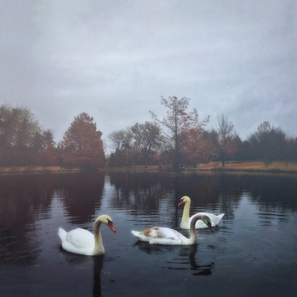 8 Tips For Incredible Rural Landscape Photography On iPhone