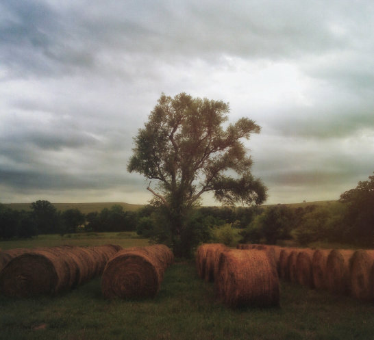8 Tips For Incredible Rural Landscape Photography On iPhone