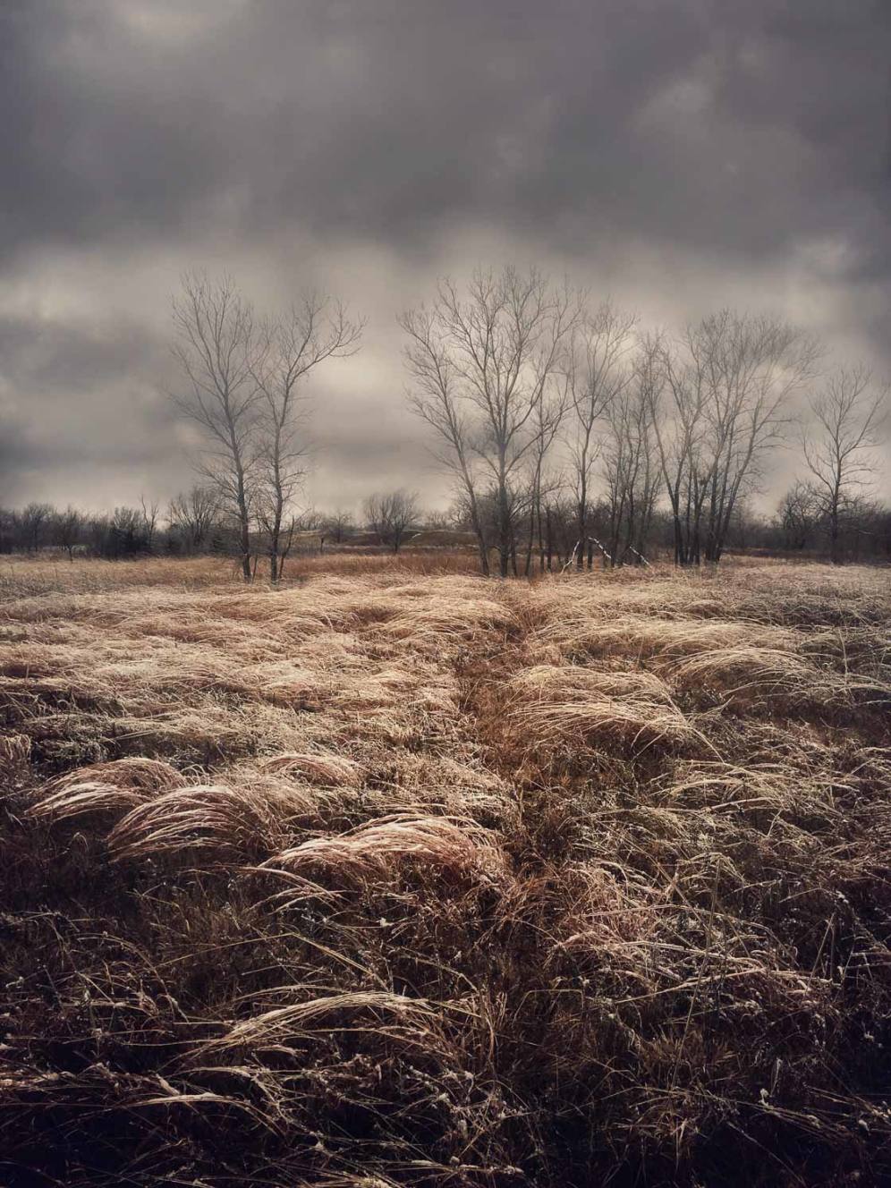 8 Tips For Incredible Rural Landscape Photography On iPhone
