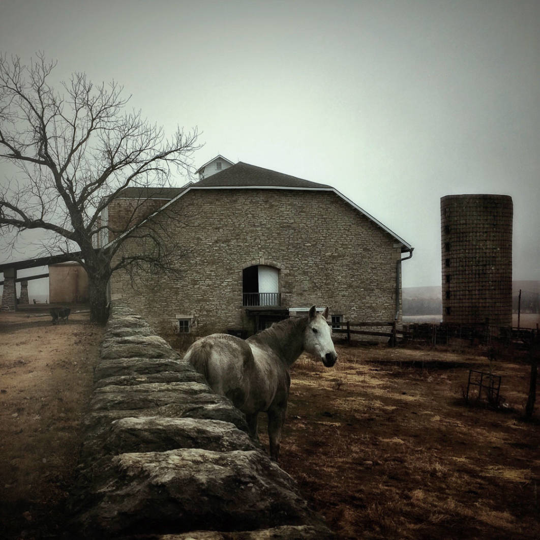 8 Tips For Incredible Rural Landscape Photography On iPhone