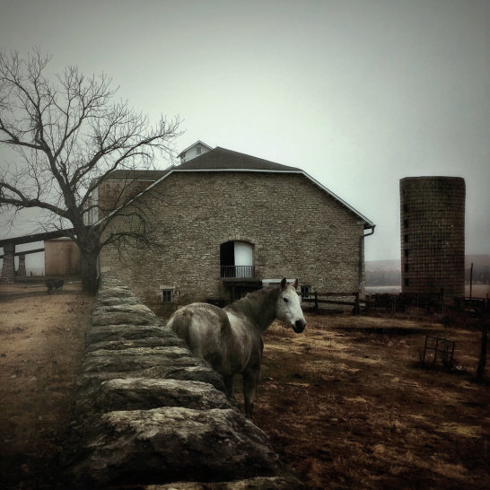 8 Tips For Incredible Rural Landscape Photography On iPhone