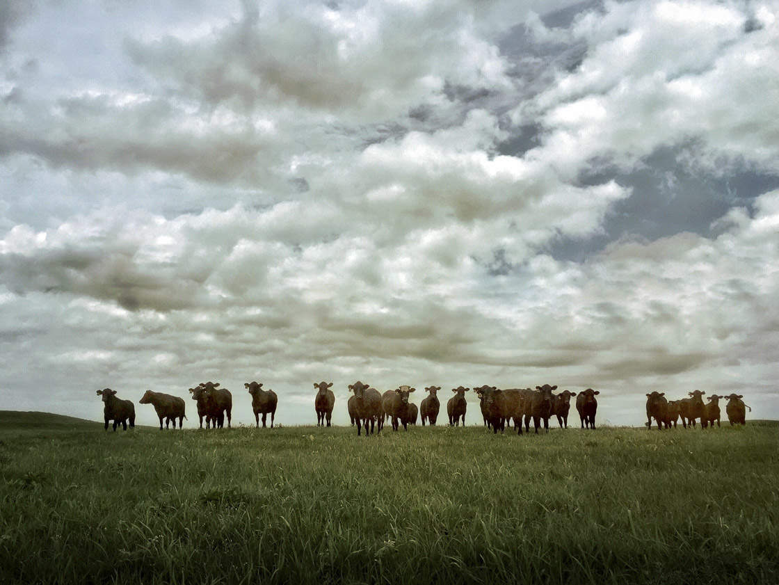 8 Tips For Incredible Rural Landscape Photography On iPhone
