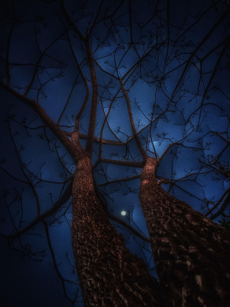 30 Stunning iPhone Photos Taken At Night