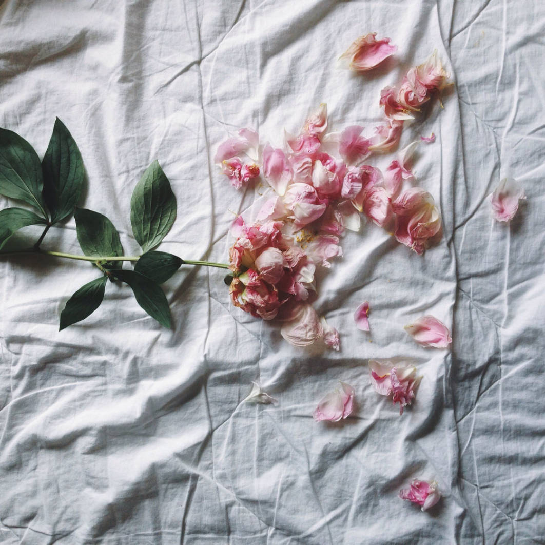 How Sara Tasker Takes Beautiful iPhone Photos